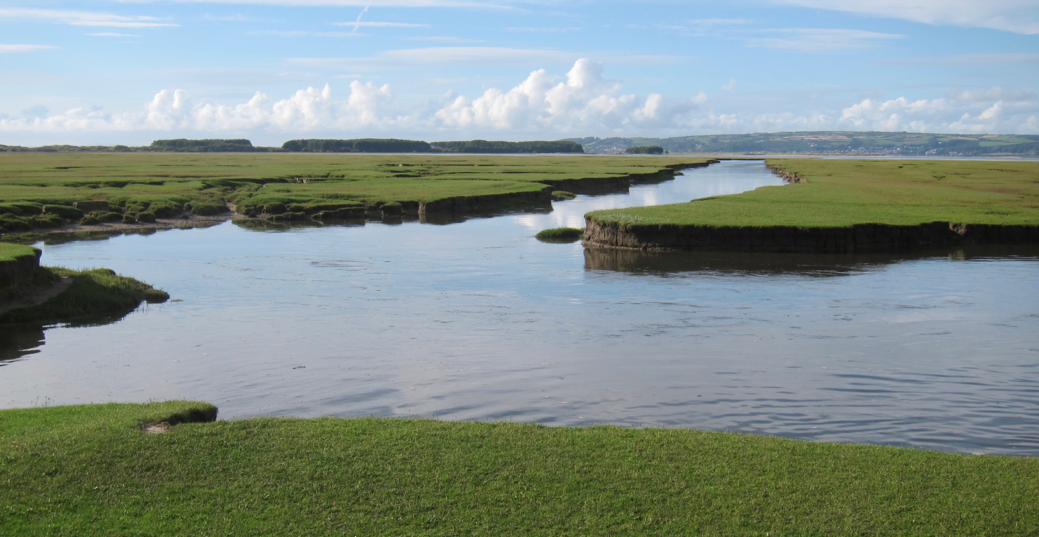Gower Landscape – a recent book and a new project | A new project on ...